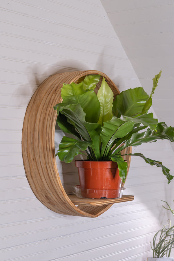 Large Bubble Cubby | Plant Shelf | Wooden Wall Shelf | Wall Hanging ...